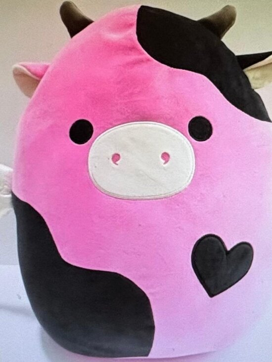 Squishmallows | Toys | Squish Mallows Valentines Original Pollyanna The ...